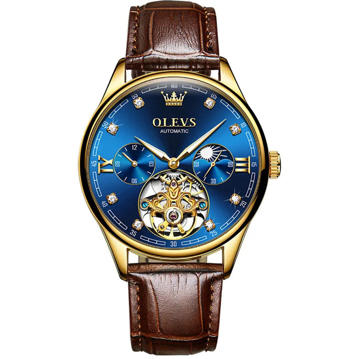 OLEVS Europe – OLEVSEurope